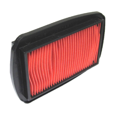 Air Filter - FLT205 | Max Motorcycles